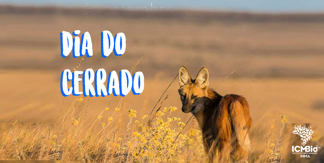 Dia do Cerrado é celebrado nesta sexta-feira – SERRA DA CANASTRA – www ...